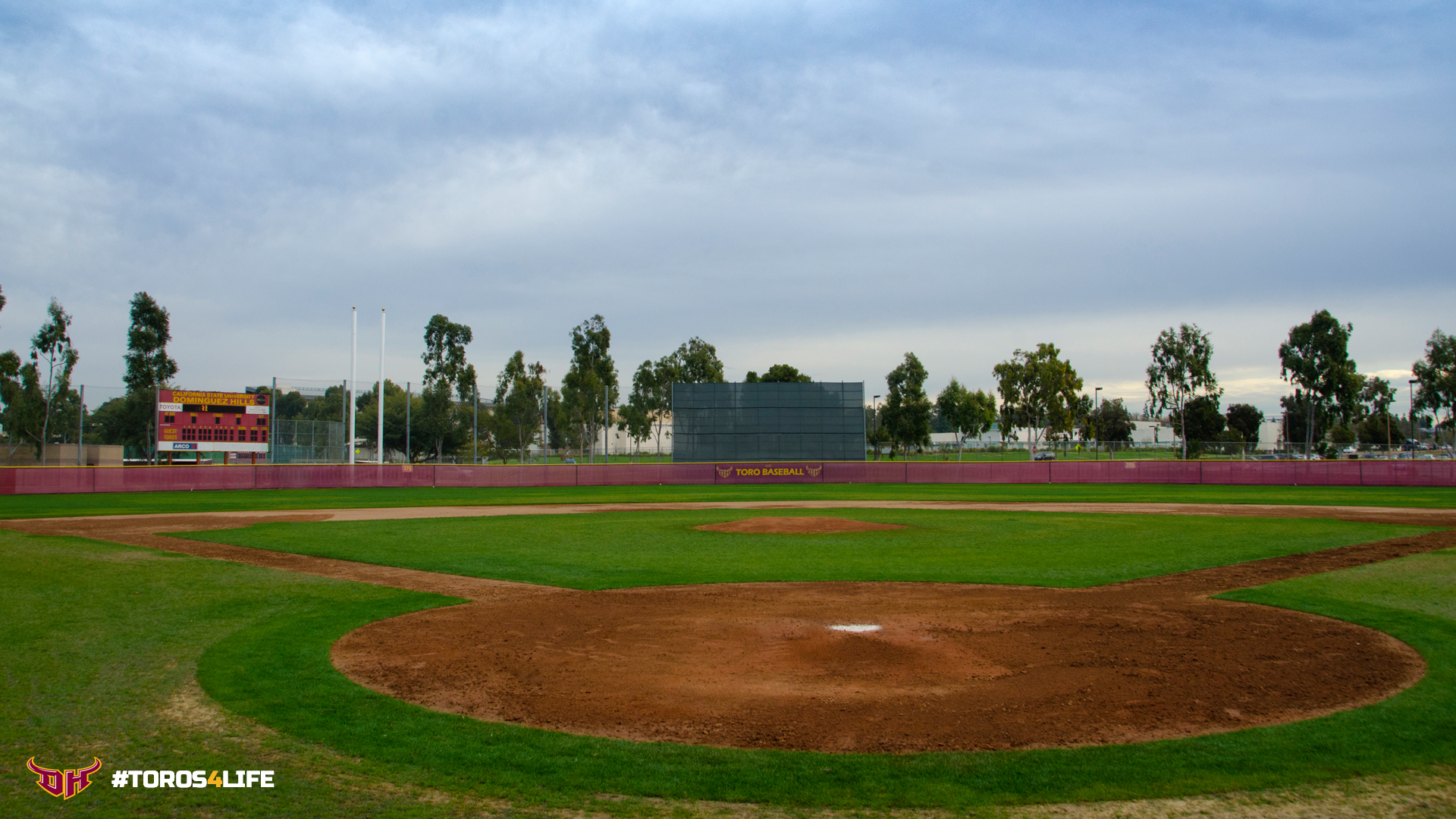 Athletics Zoom Backgrounds - Cal State Dominguez Hills Athletics